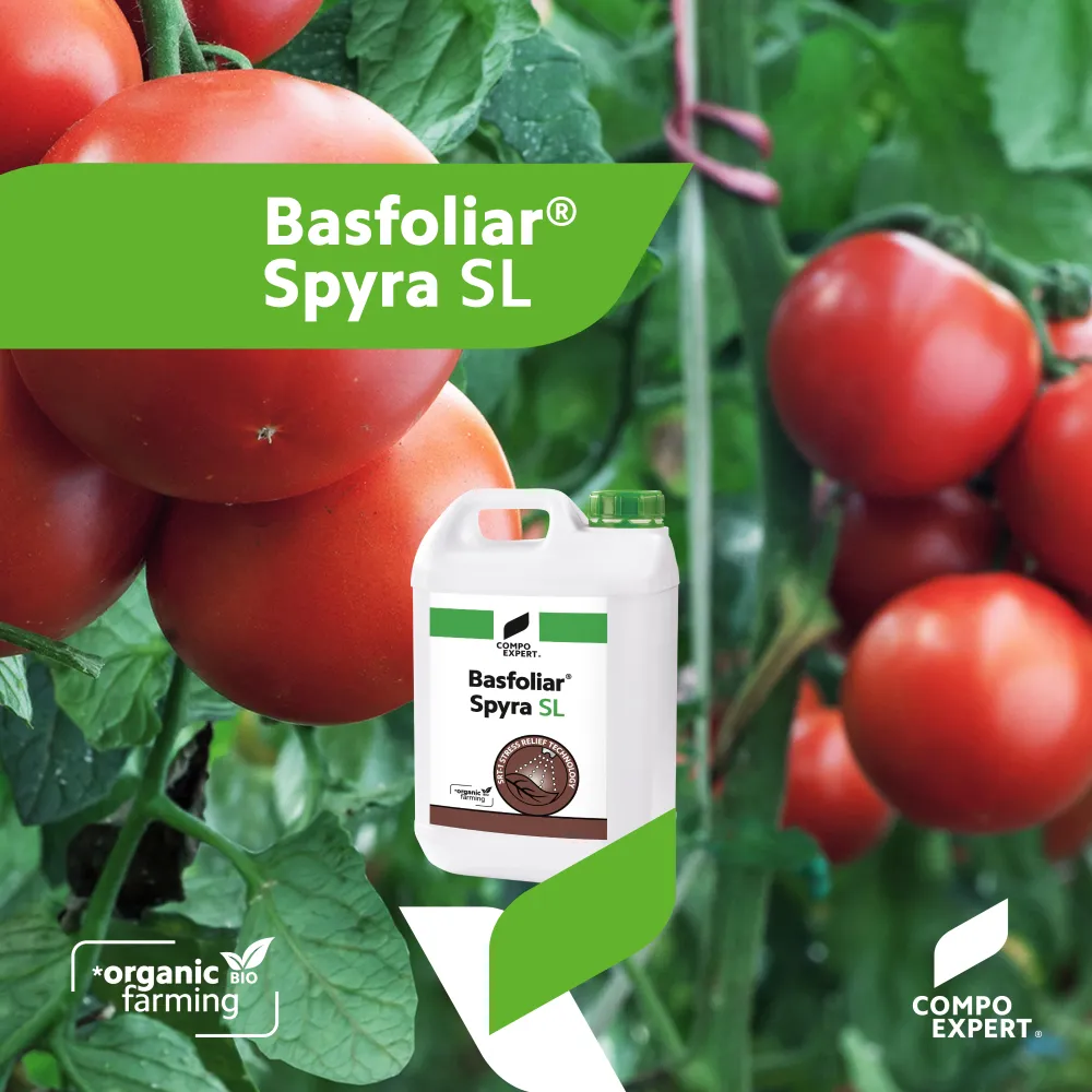 Nέα γενιά βιοδιεγερτών Basfoliar Spyra SL | COMPO EXPERT